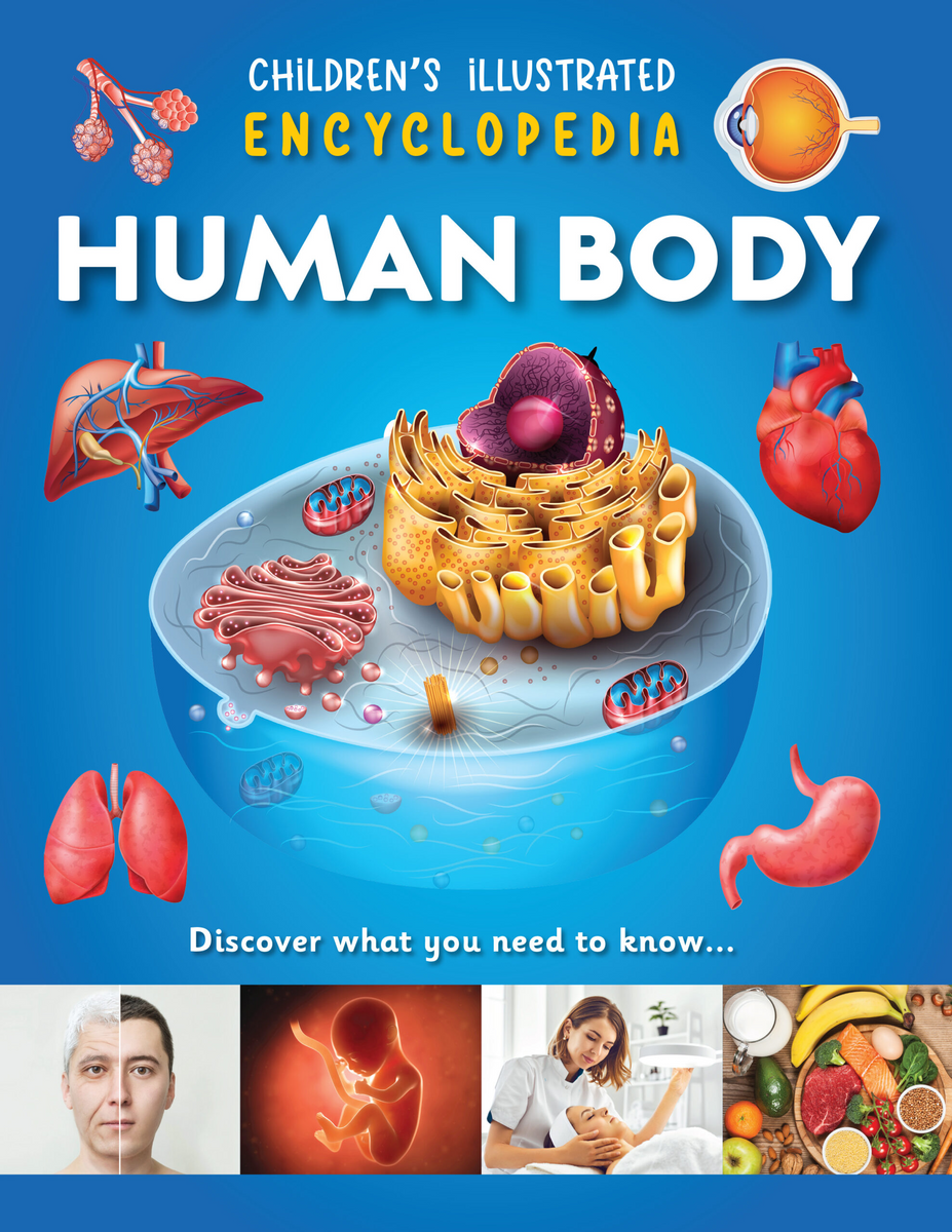 Illustrated Encyclopedia Human Body – Infinity Gifts NZ